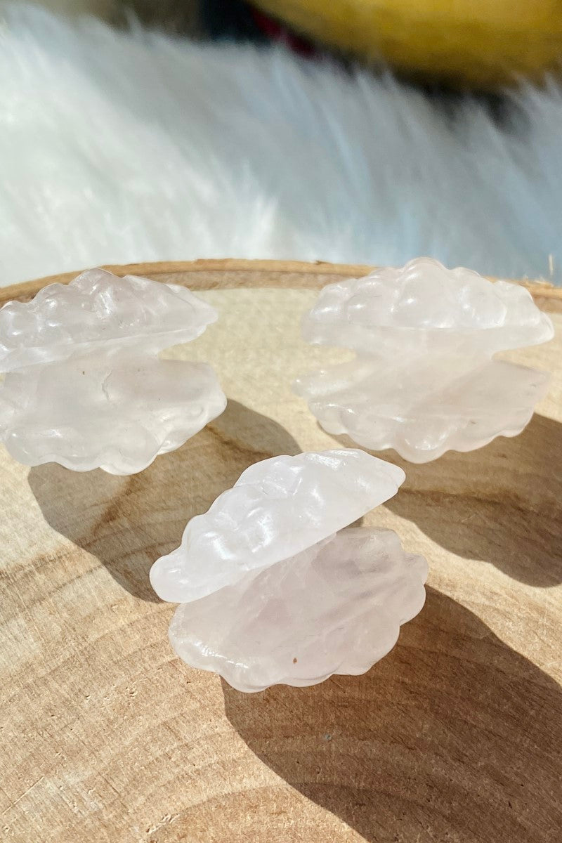 Clear Quartz Seashell | Kylee's Crystals