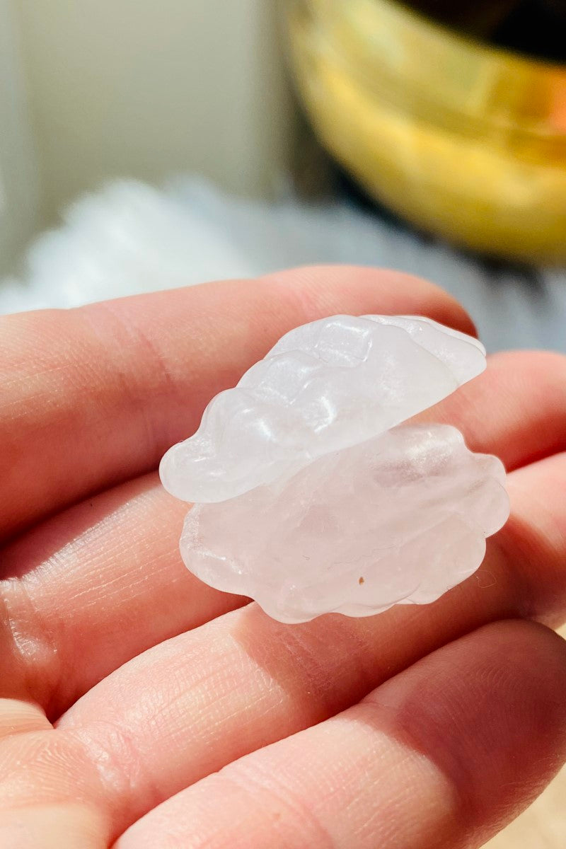 Clear Quartz Seashell | Kylee's Crystals